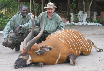 Bongo Hunting | Power Poetry