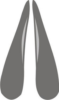 Springbok Shot Placement